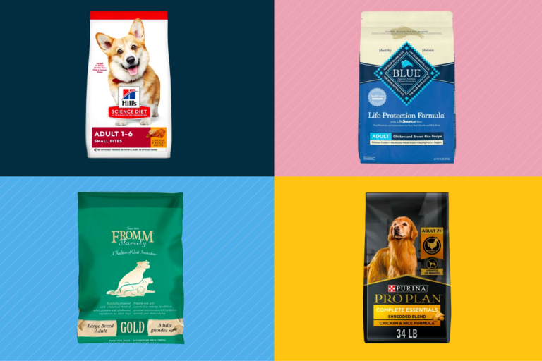 Top 10 UK Pet Food Brands in 2024 - Petcare Bytes