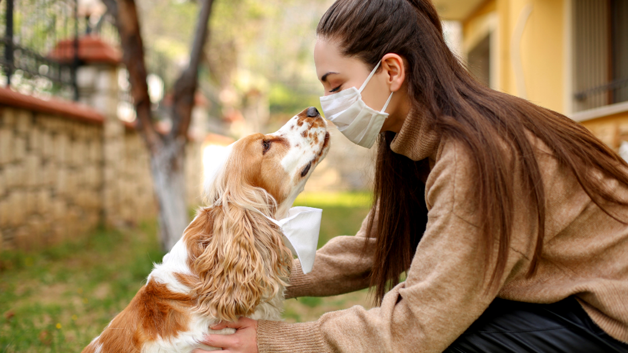 Top 10 Pet Health Tips Every Pet Parent Should Know - Petcare Bytes