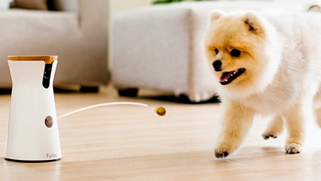 Pet-Friendly Technology: Gadgets for Pet Parents - Petcare Bytes