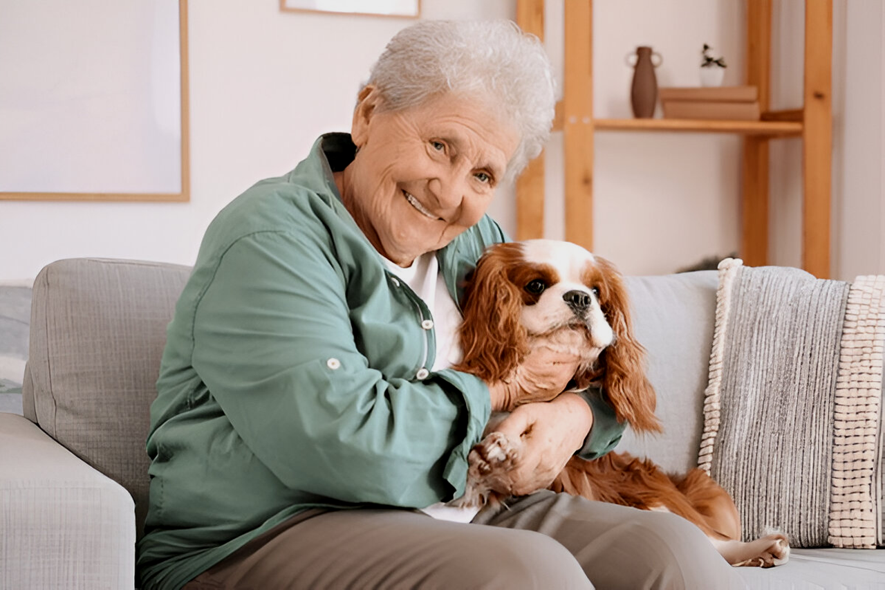 Senior Pet Care: How to Keep Aging Pets Happy & Healthy - Petcare Bytes